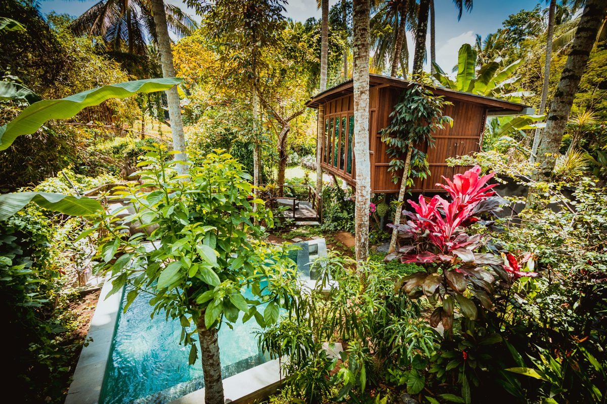 The Ubud Treehouse - Stay close to nature, Next to the Yoga BarnUbud