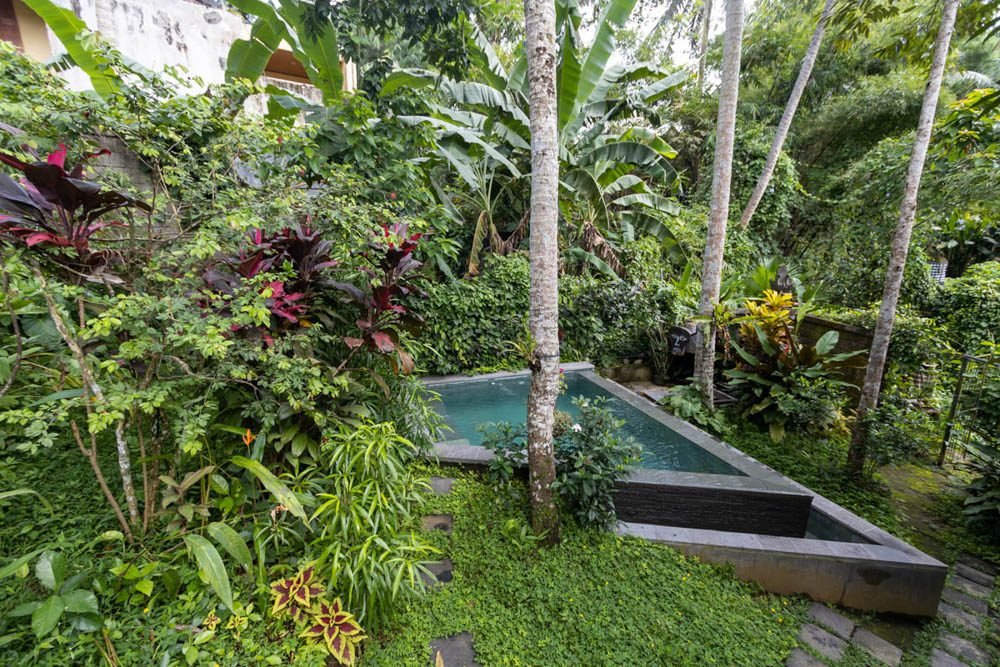 Tree house vacation rental next to the Yoga Barn Ubud